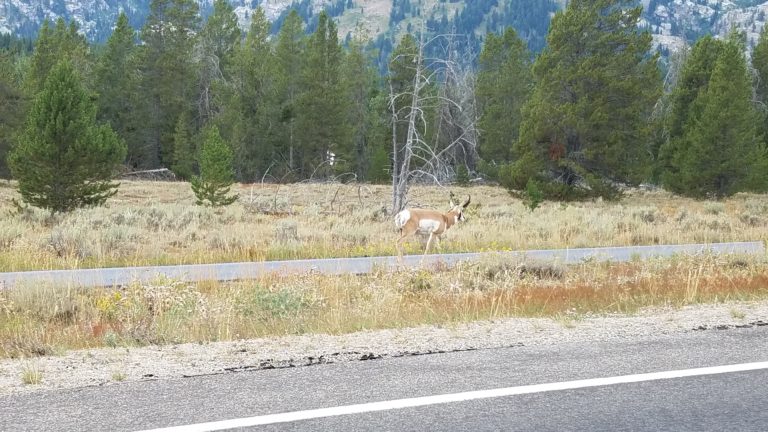 Paintbrush Divide – Grand Teton NP – Wyoming – Own Your Hike